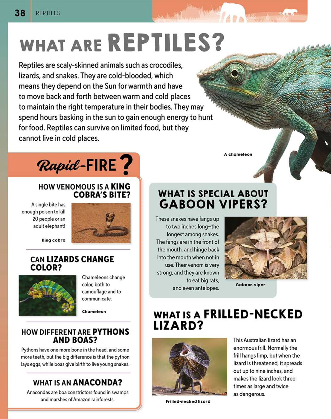 Learning is Fun. ULTIMATE QUESTIONS & ANSWERS-ANIMALS AND NATURE